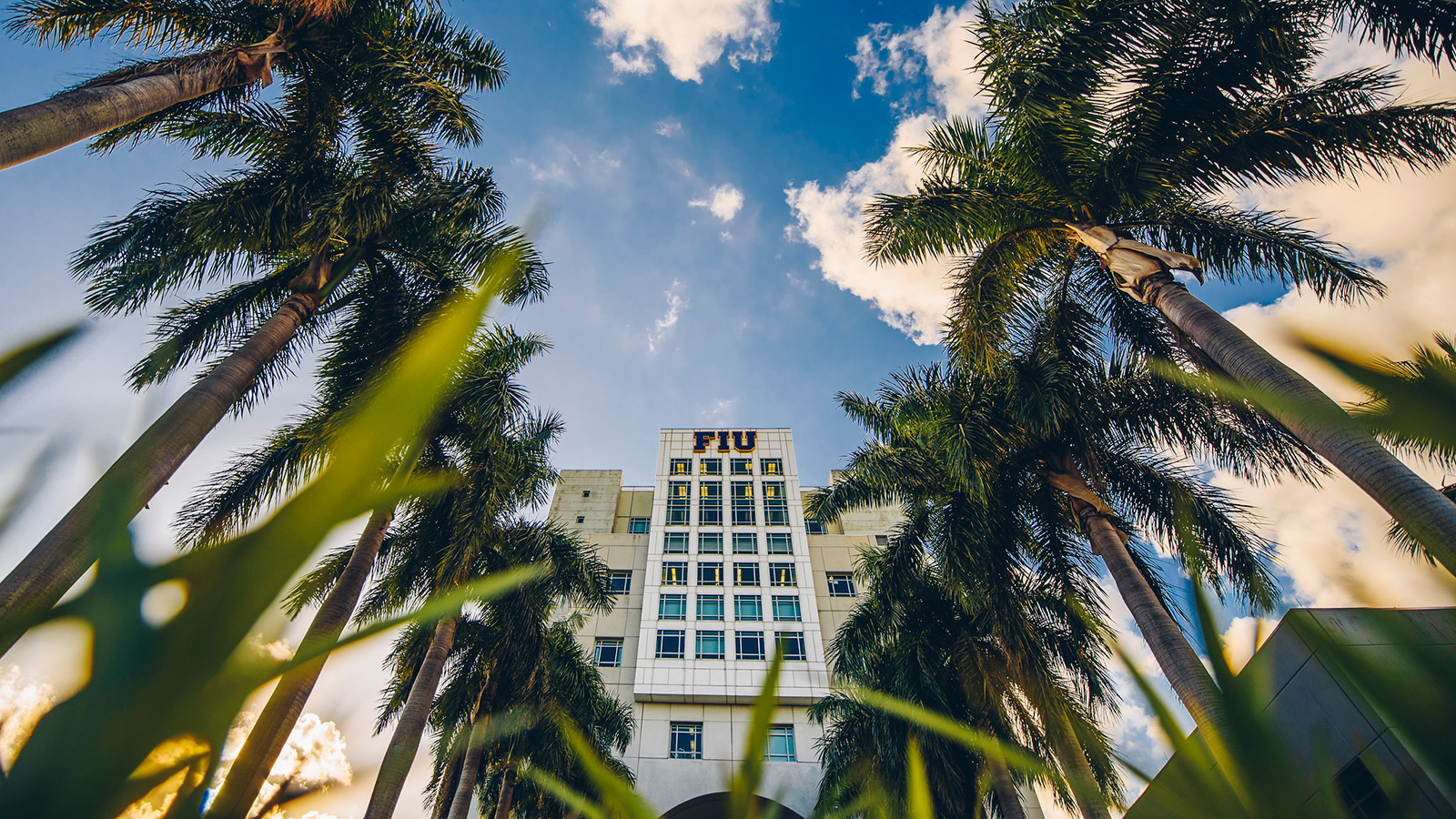 Global Learning Courses | FIU Global Learning