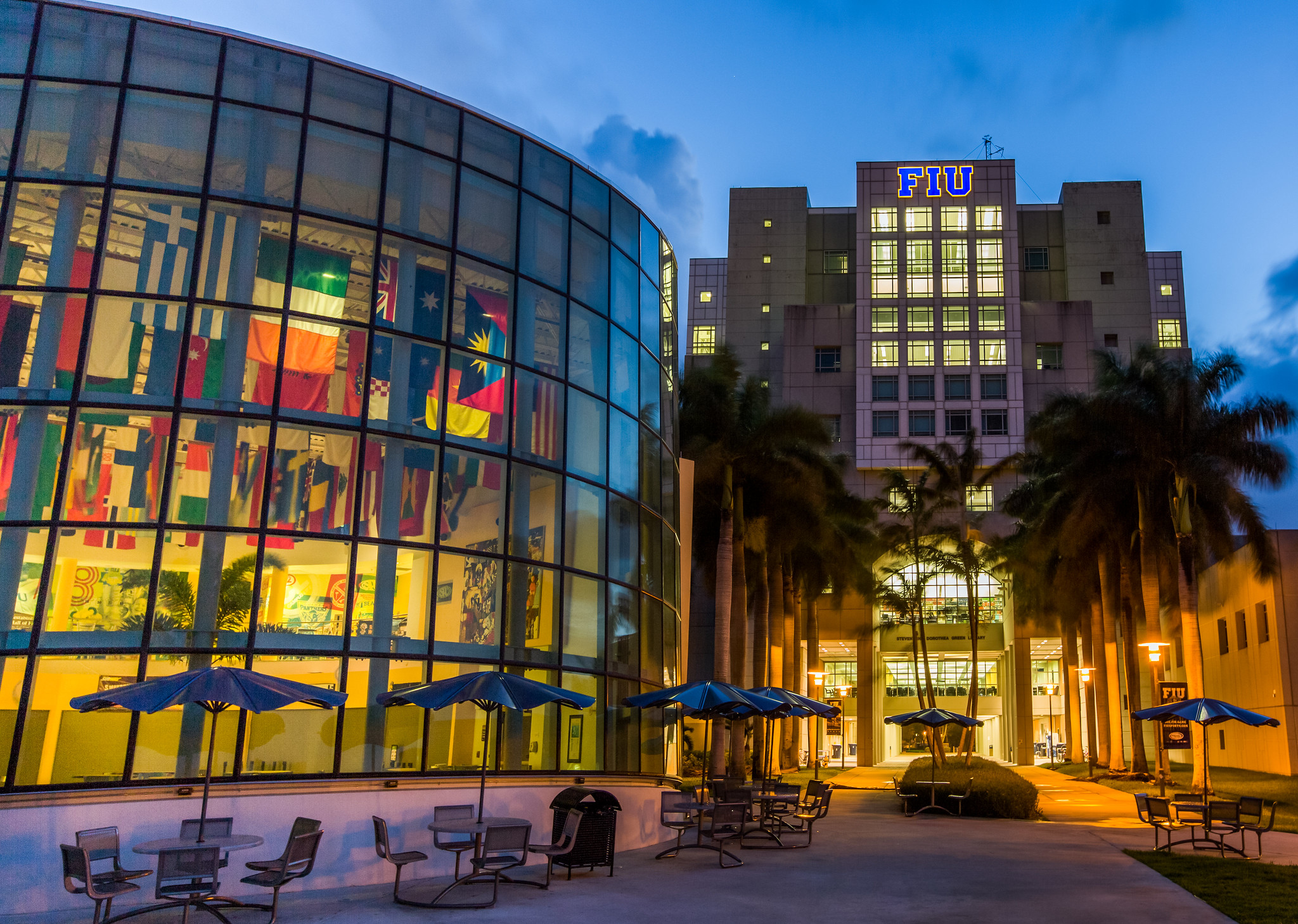 Interdisciplinary Global Learning Research Microcredential | FIU Global ...